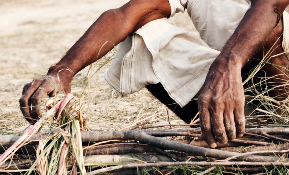 Why Did God Put a Man to Death for Gathering Sticks on the Sabbath Day ...
