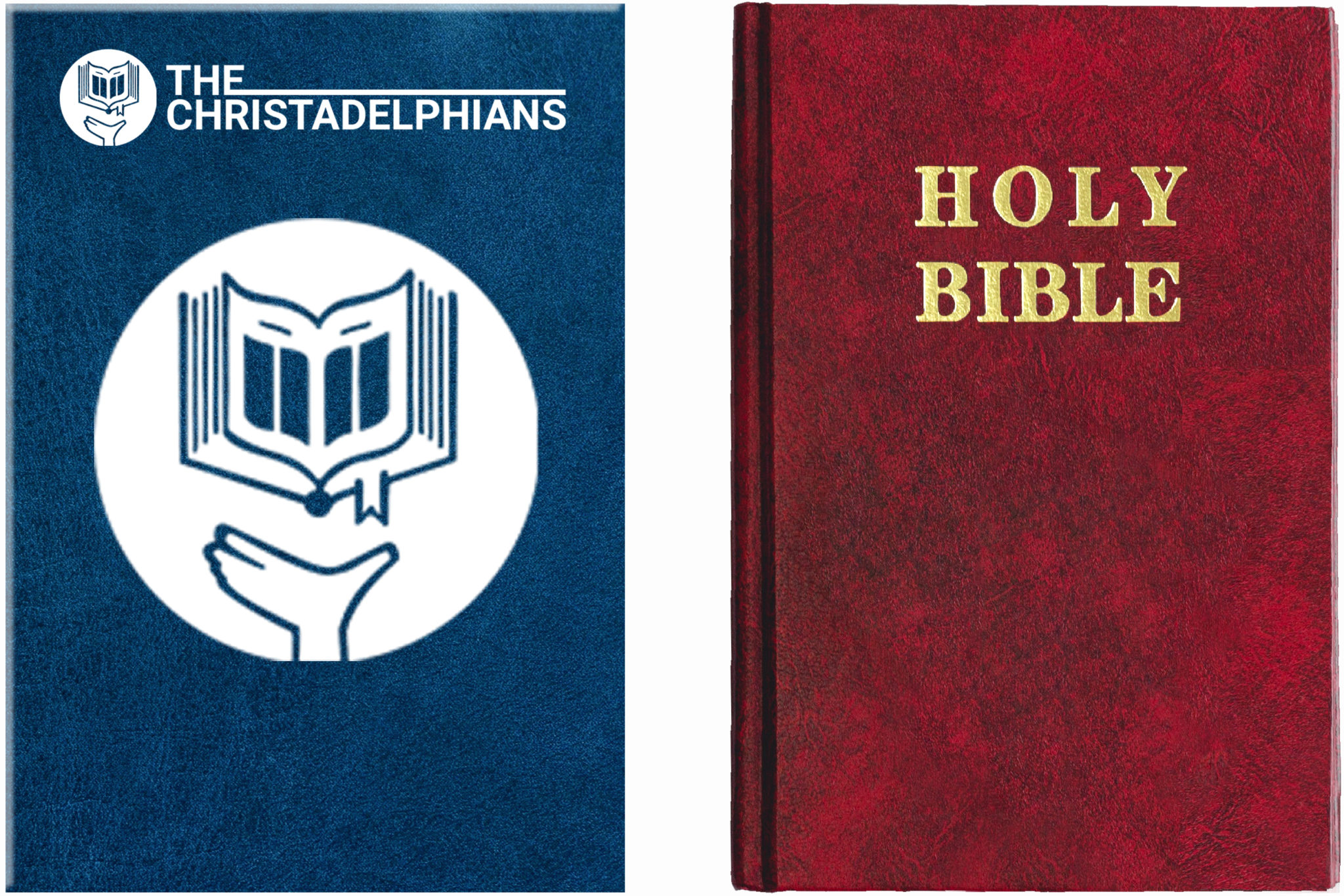 Did Jesus Have a Sinful Nature as Christadelphianism Teaches ...